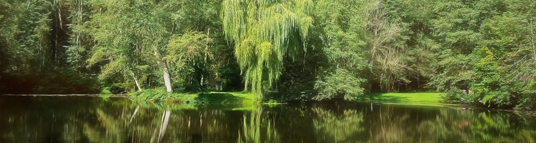 Standesamt | Gemeinde Wildeck