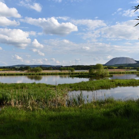 Naturschutzgebiet "Rhäden" | Gemeinde Wildeck