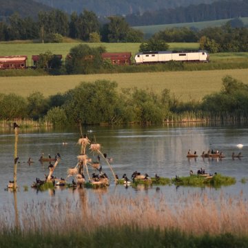 Naturschutzgebiet "Rhäden" | Gemeinde Wildeck
