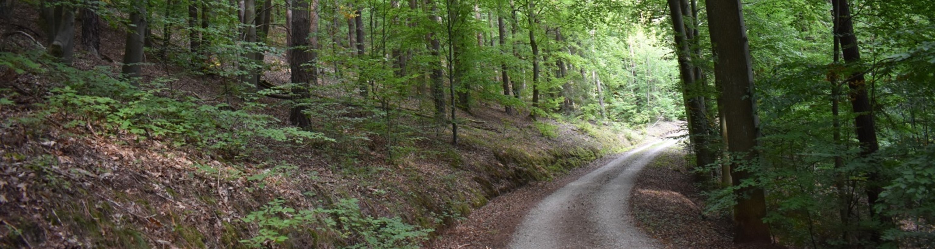 zu Fuß, mit Fahrrad, Bus und Bahn | Gemeinde Wildeck
