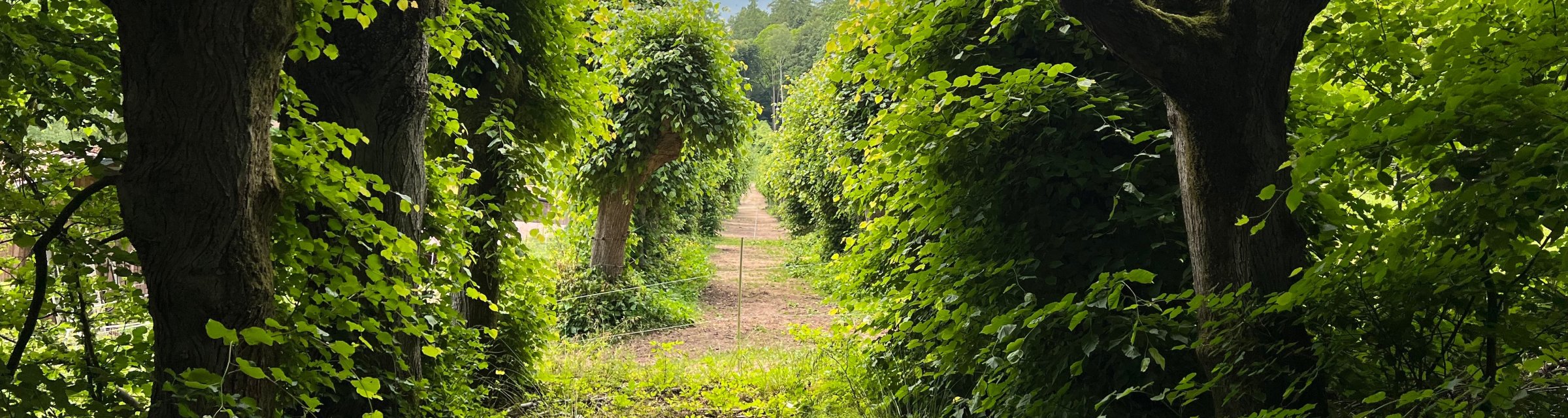 Wanderwege | Gemeinde Wildeck