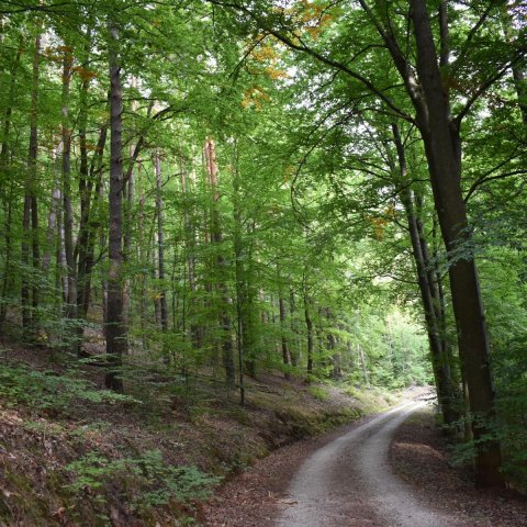 Wildecker Tal | Gemeinde Wildeck